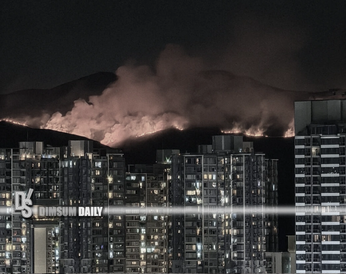 Ten-hour hill fire on Cheung Ngau Shan forms 500-metre fire line in ...