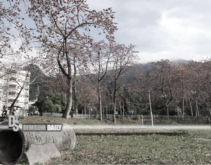 Hong Kong set for sharp cold snap on 19th November, with Shek Kong and ...