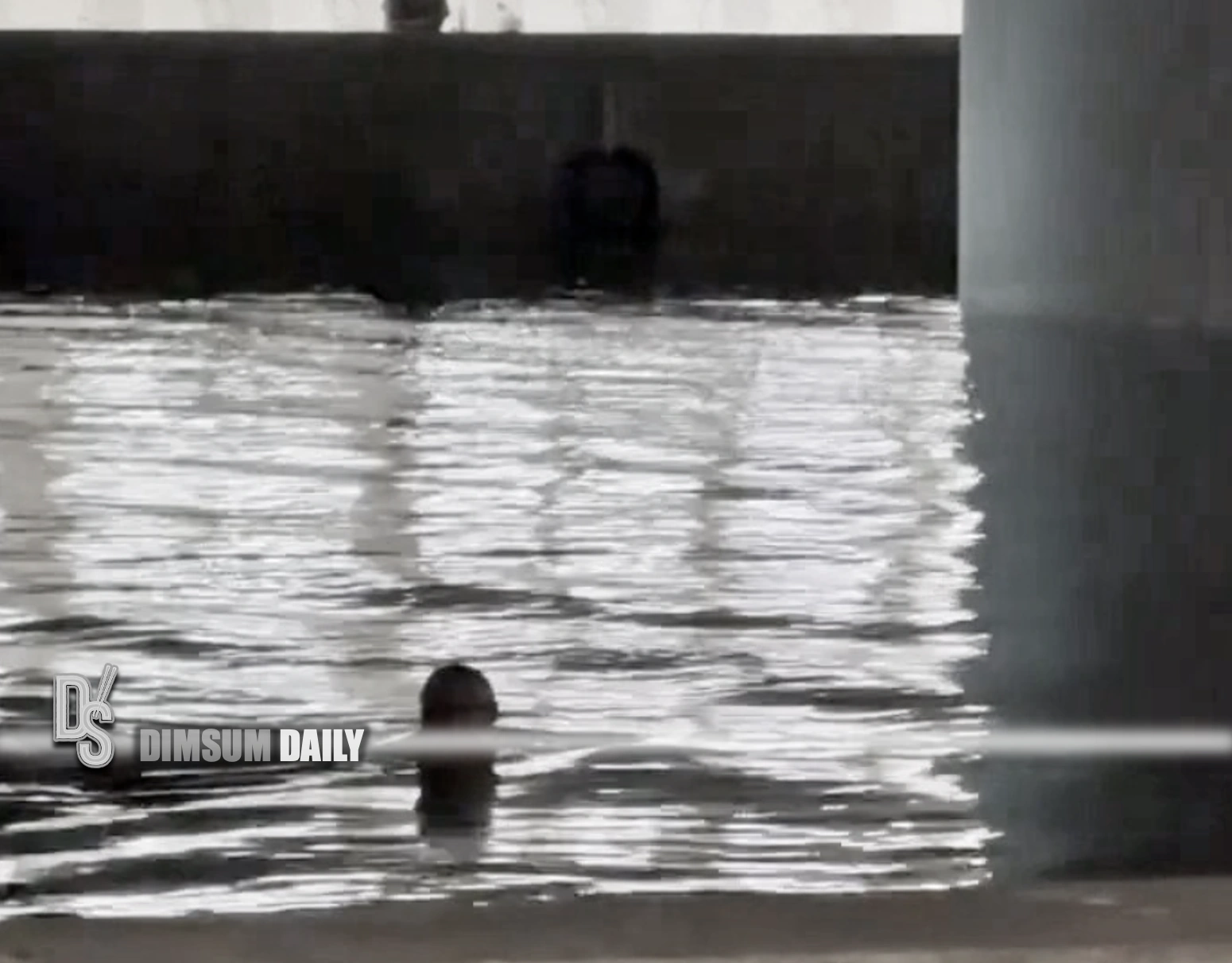 Nocturnal man spotted swimming in Sha Tin's Shing Mun River - Dimsum Daily