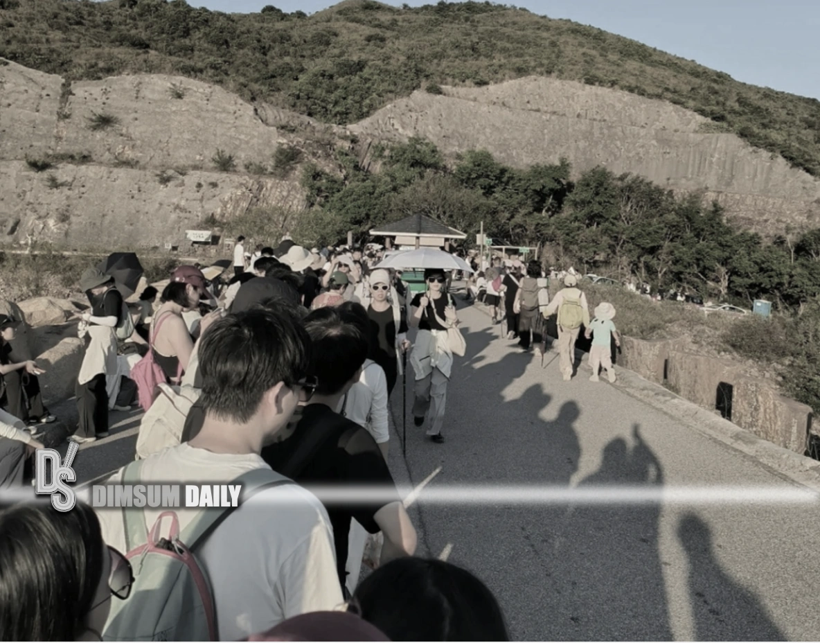 Crowds flock to Sunset Peak for silvergrass season as extra buses ease ...