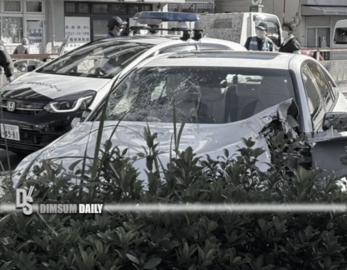 Car mounts Tokyo pavement in Adachi, injuring 11 as driver flees