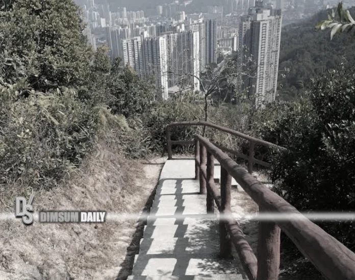 Chikungunya risk triggers closure of Tsing Yi Nature Trails for ...