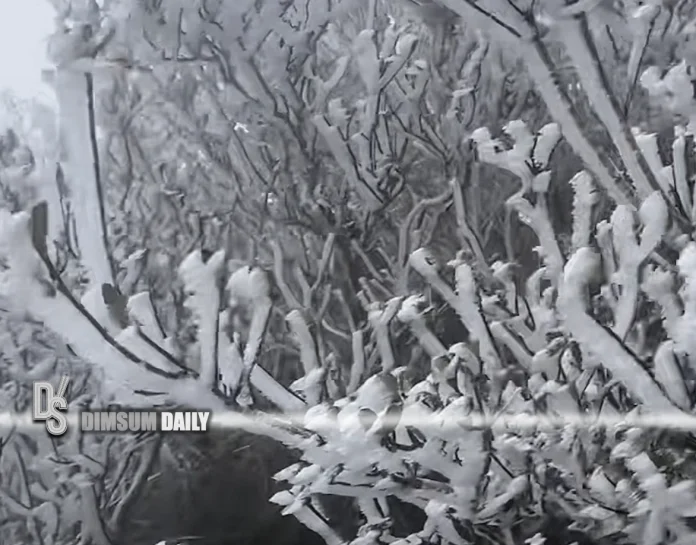 Cold surge grips Guangdong as Qingyuan’s Jinzi Mountain ices over