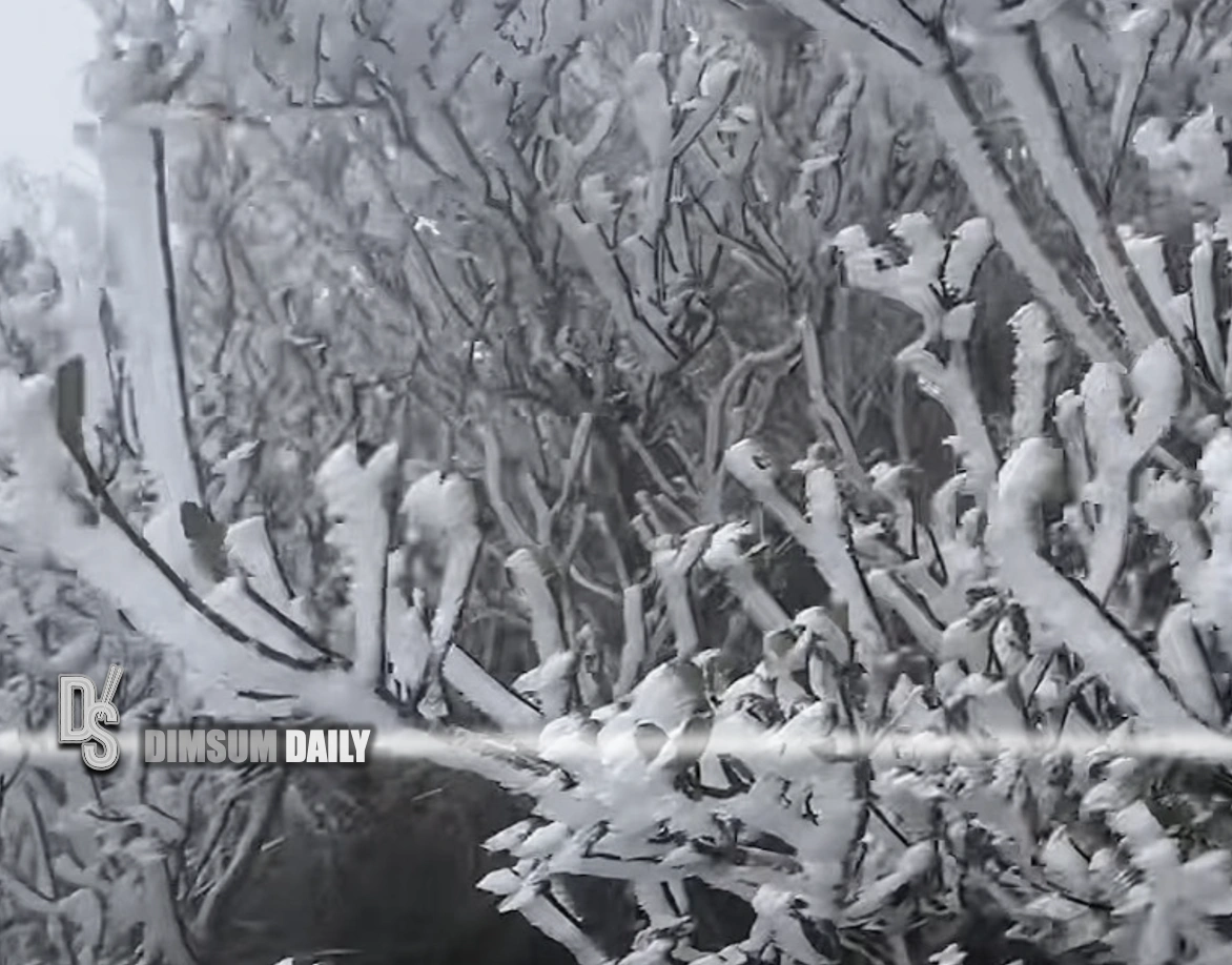 Cold surge grips Guangdong as Qingyuan’s Jinzi Mountain ices over