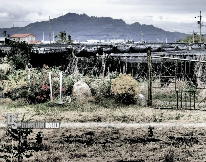 Magnitude 6.1 earthquake strikes Taitung’s Beinan, tremors felt across ...