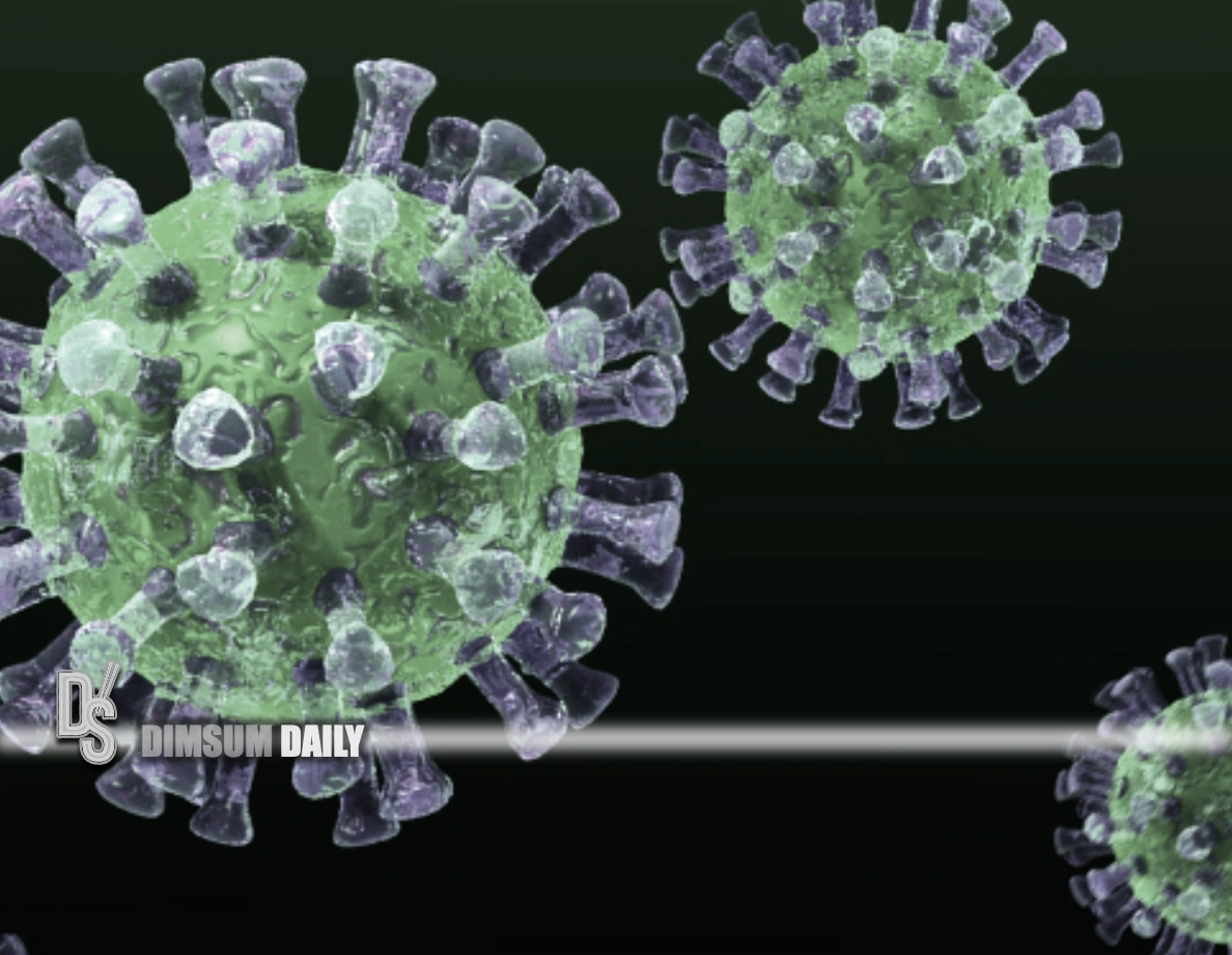 WHO reports 19 MERS cases and four deaths in 2025, global risk remains ...