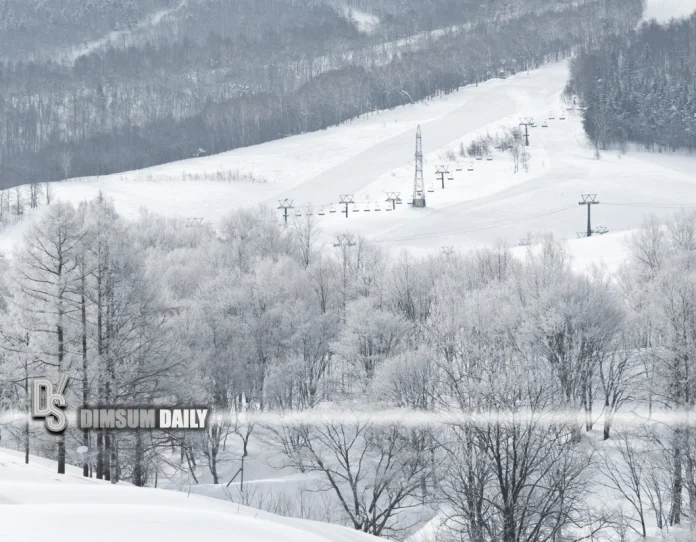 Blizzard batters Hokkaido as roads close and flights axed following ...