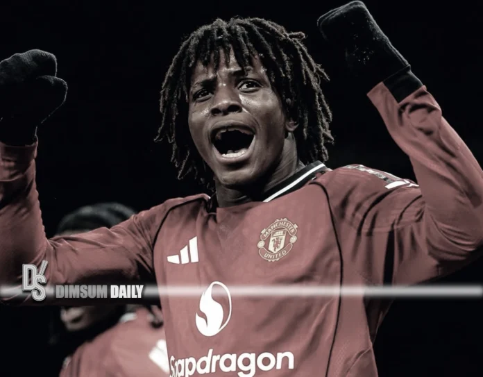 Depleted Manchester United edge Newcastle as Patrick Dorgu volley lifts ...