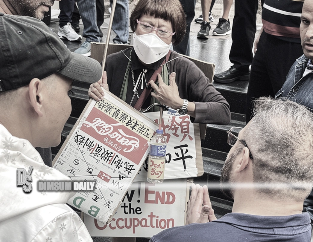 Israeli tourist accused of assaulting elderly pro-Palestinian local ...