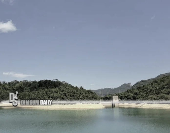Female hiker stung by bee near Shek Lai Pui Reservoir and taken to ...