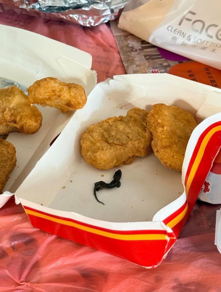 Horror at Sai Kung McDonald's as customer finds fried lizard in chicken ...