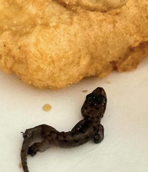 Horror at Sai Kung McDonald's as customer finds fried lizard in chicken ...