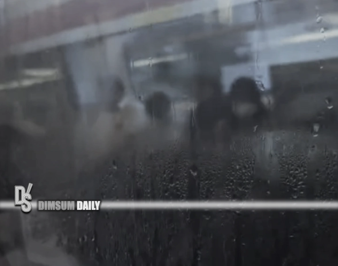 Unusual footage of "dynamic aquarium" captivates MTR passengers