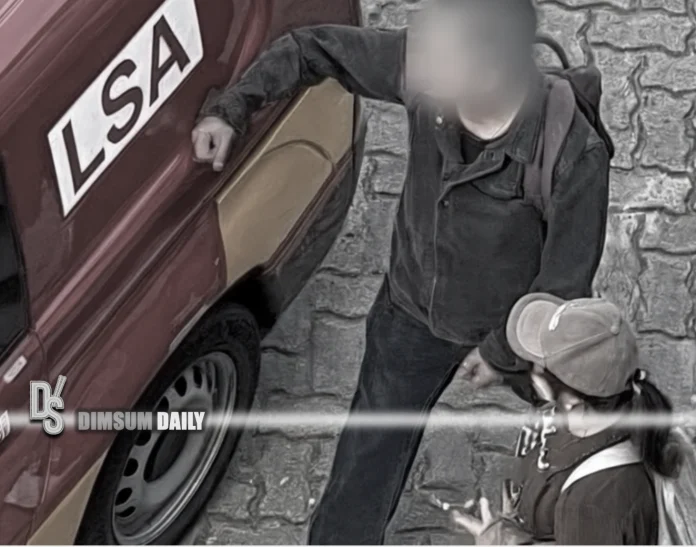 Cheung Chau man arrested after confrontation at helipad over medical ...