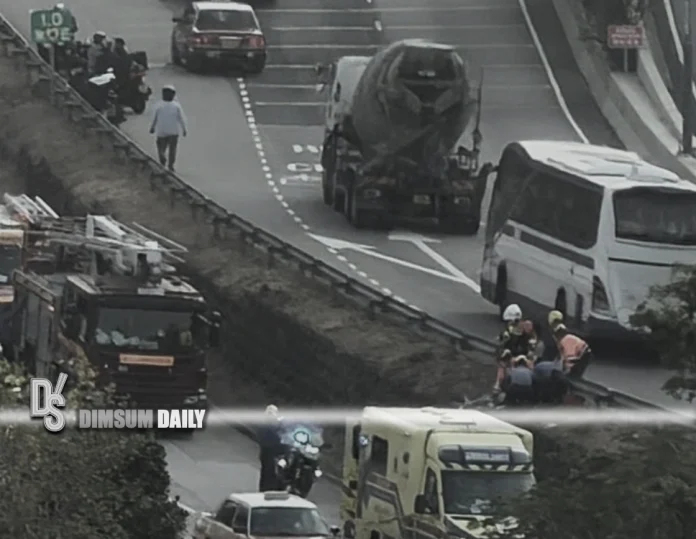 Scooter rider dies after suspected bird strike on Island Eastern Corridor