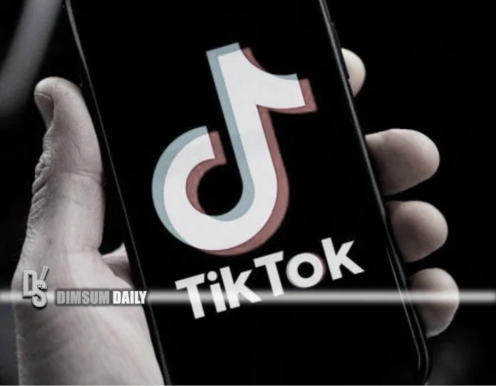 White House backs deal handing TikTok U.S. operations to Trump-linked ...
