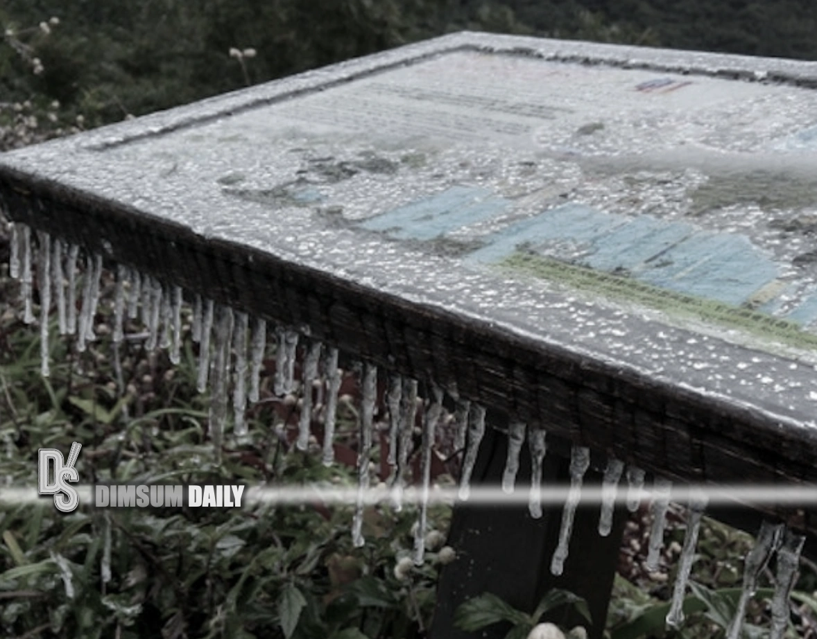 A decade later, Tai Mo Shan’s −6°c freeze and mass rescues still resonate