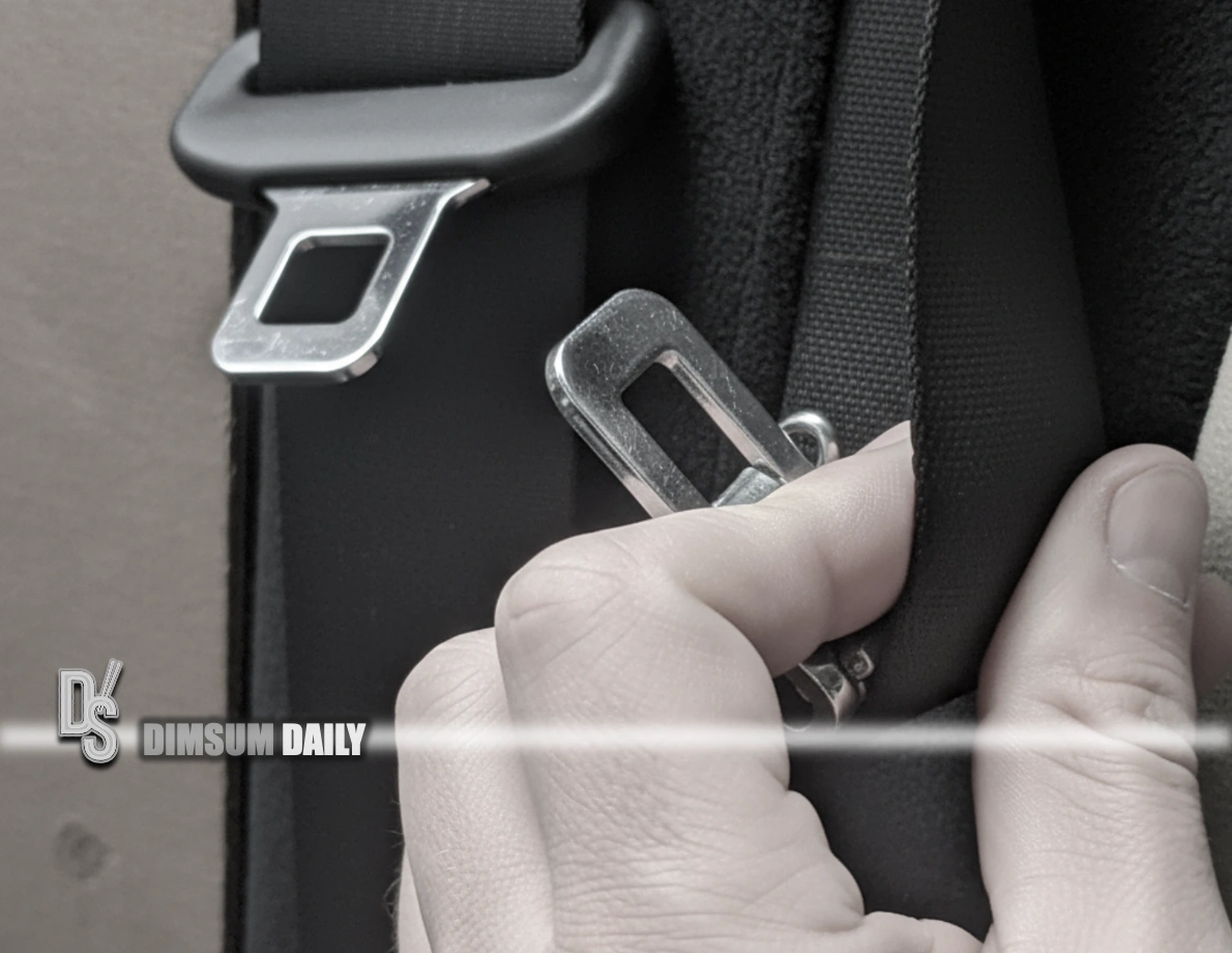 Jammed bus seatbelt sparks viral rant as riders urge switching seats ...