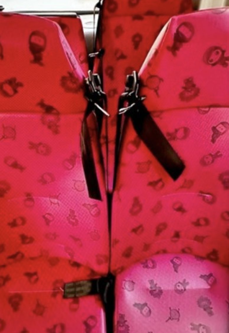 Bus seatbelt vandalism reported days after new safety law takes effect