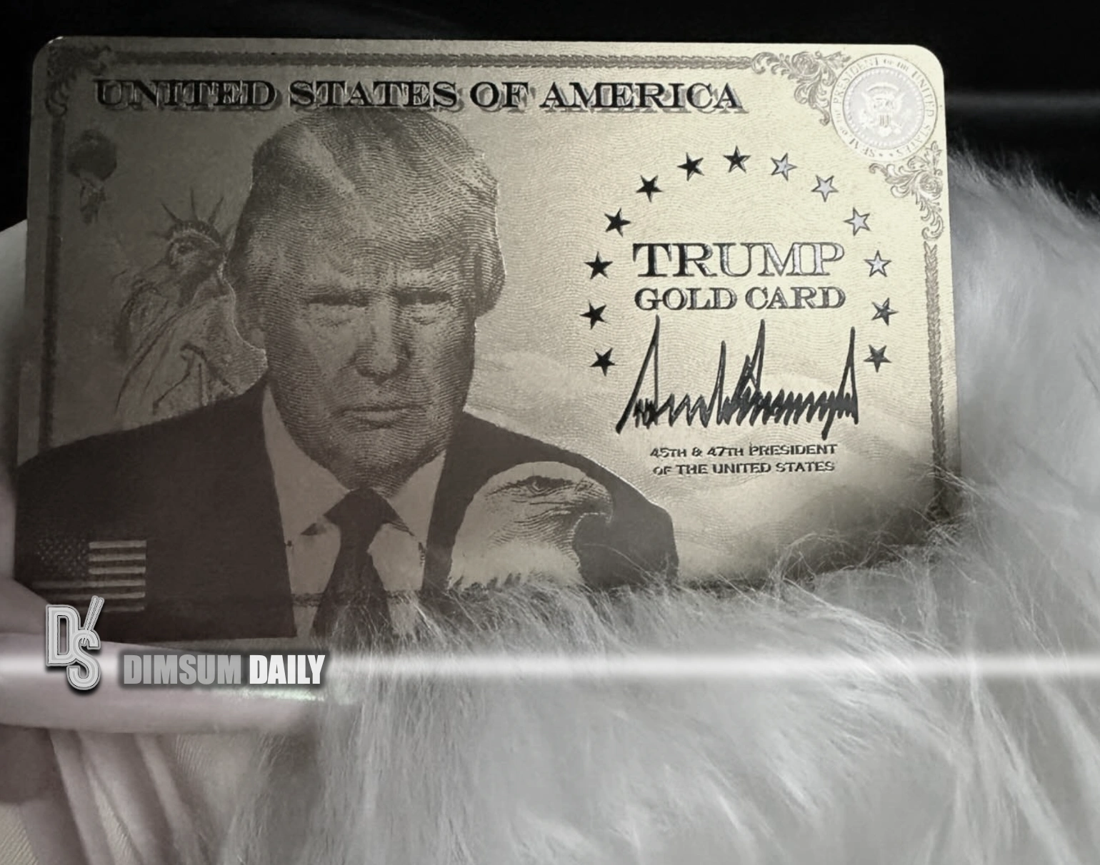 Nicki Minaj crowns herself Trump’s number one fan as she flashes new ...