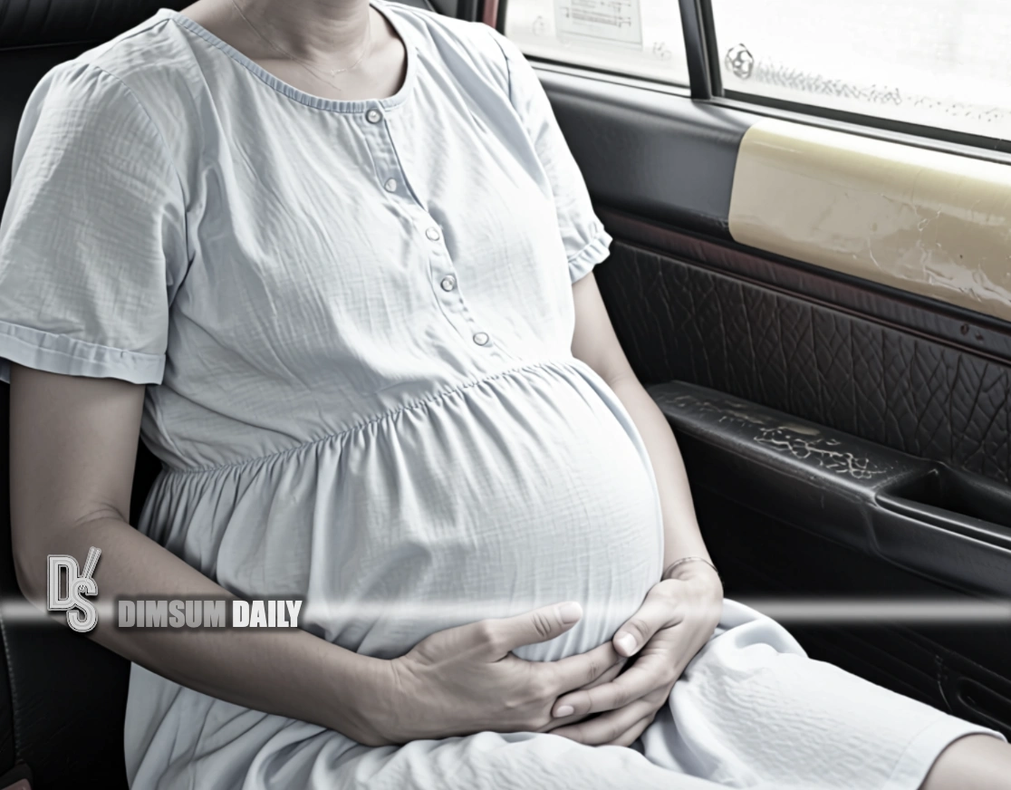 Yuen Long mother gives birth in taxi after sudden labour