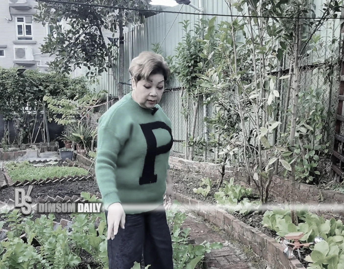 Maria Cordero’s Tai Po villa garden sparks buzz after fans mistake it ...