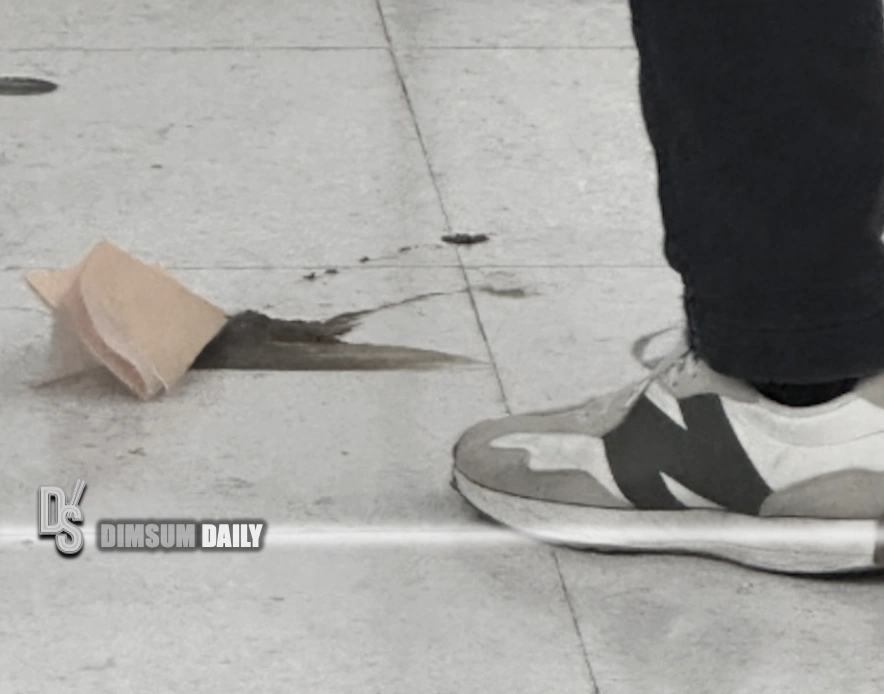 Horrifying 'poo trail' leaves passenger in a sticky situation at MTR ...