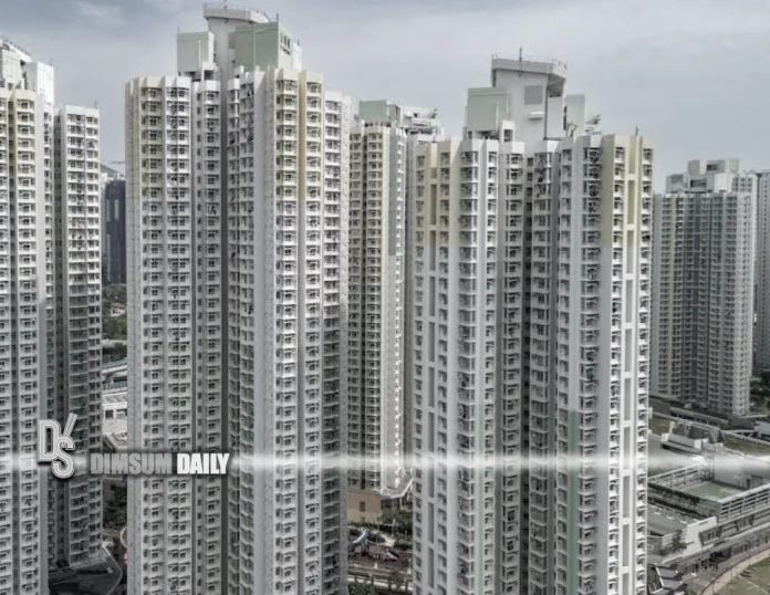 Elderly woman loses HK$110,000 in suspected domestic helper theft at ...