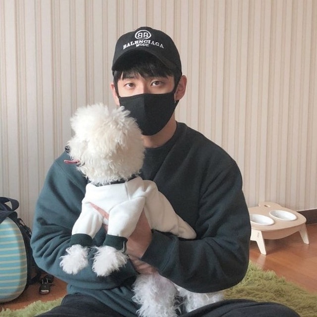 Blackpink member Jisoo’s brother reportedly arrested over assault ...
