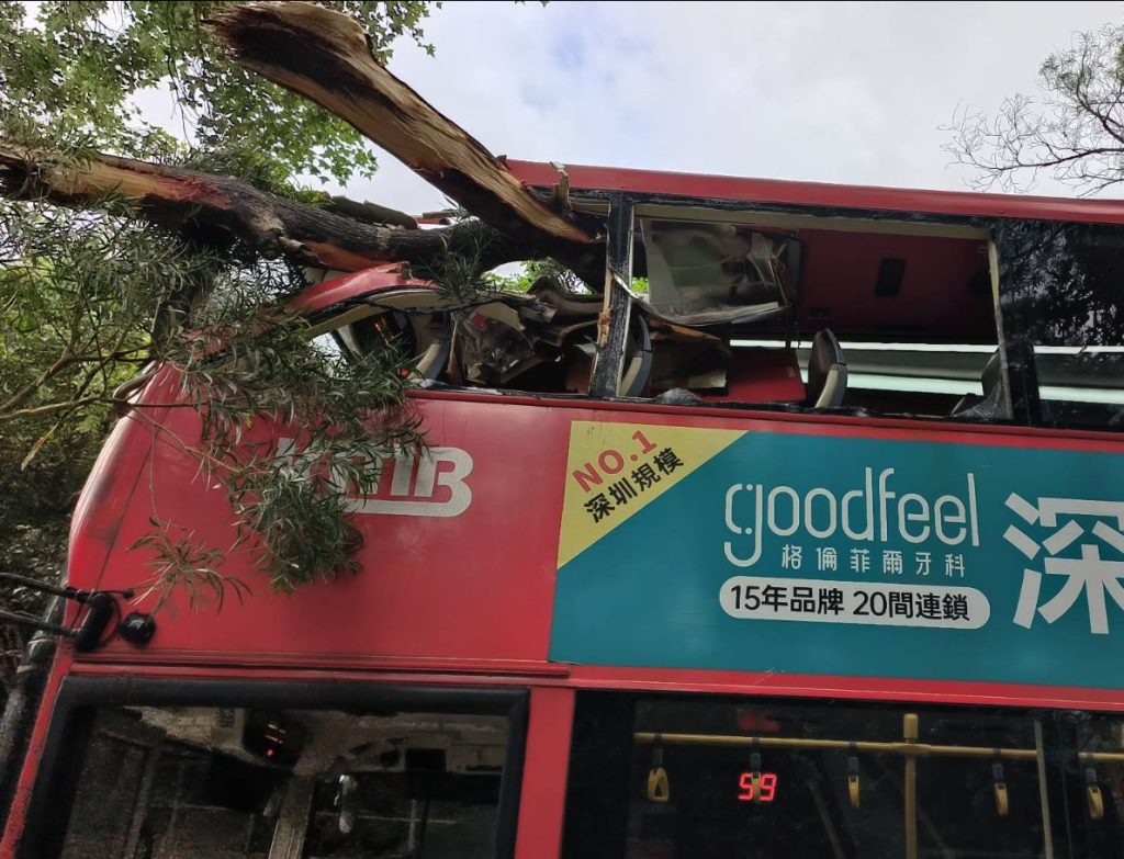 KMB bus hits tree in Sai Kung route error