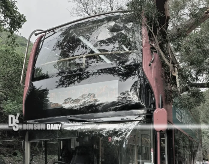 KMB bus hits tree in Sai Kung route error
