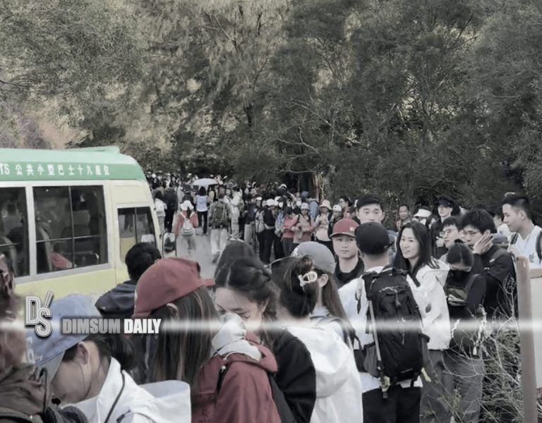 Hong Kong government mulls hike reservations and Sharp Island marine ...