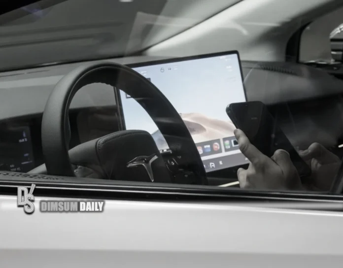 Cross-border driver filmed using phone hands‑free at wheel while ...